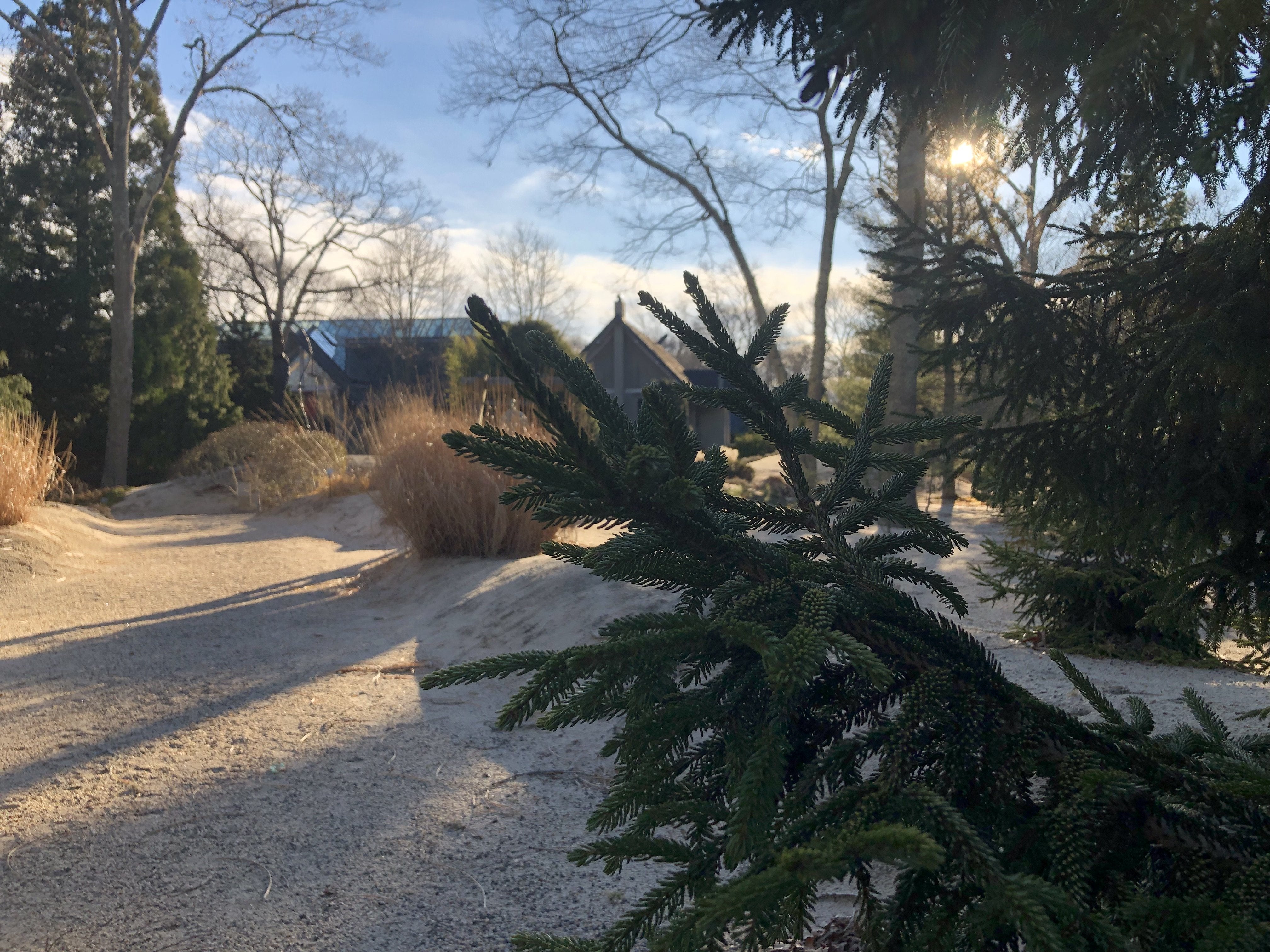 Winter Views – LongHouse Reserve