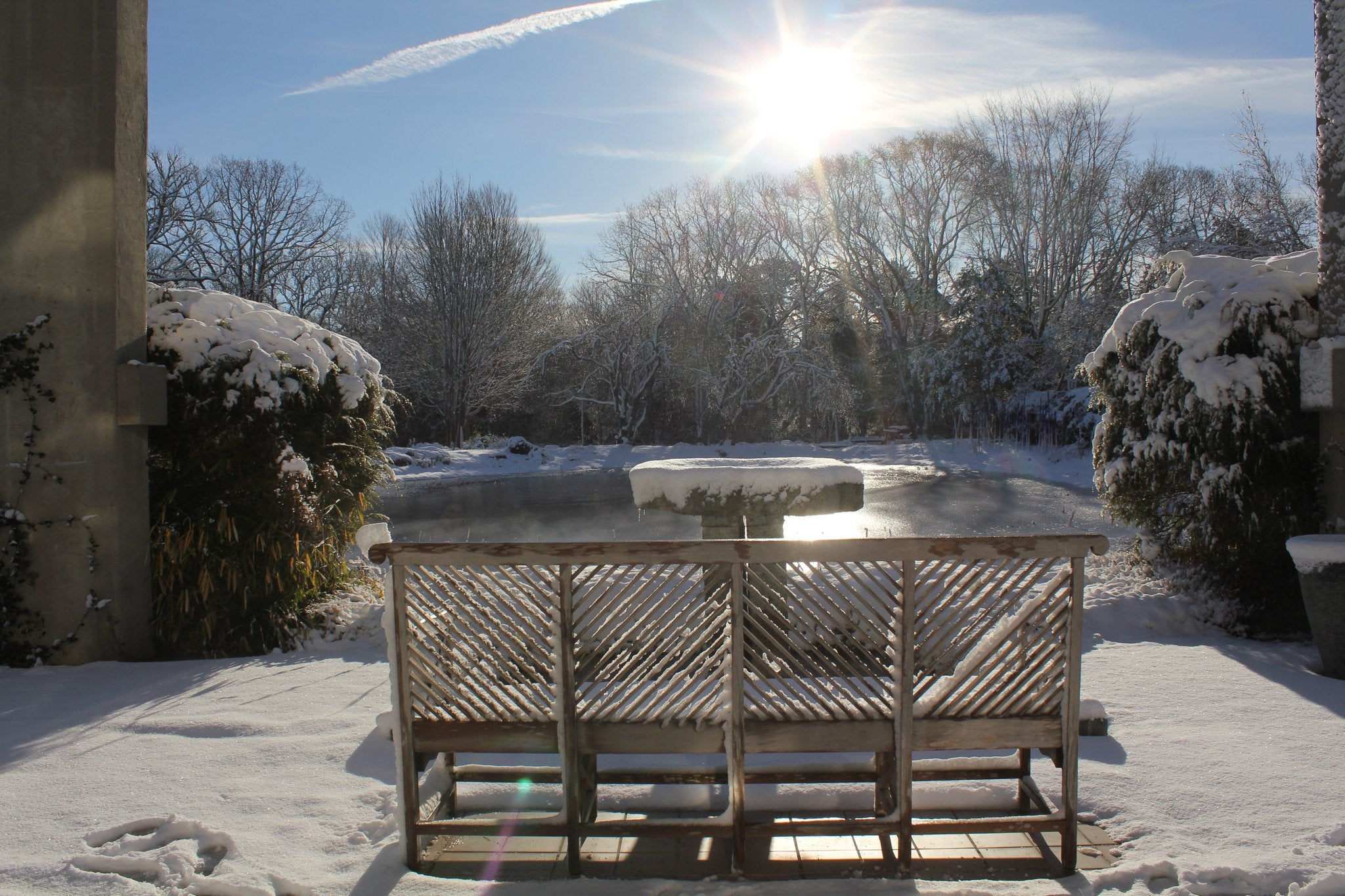 The Year in Review - Winter at LongHouse – LongHouse Reserve