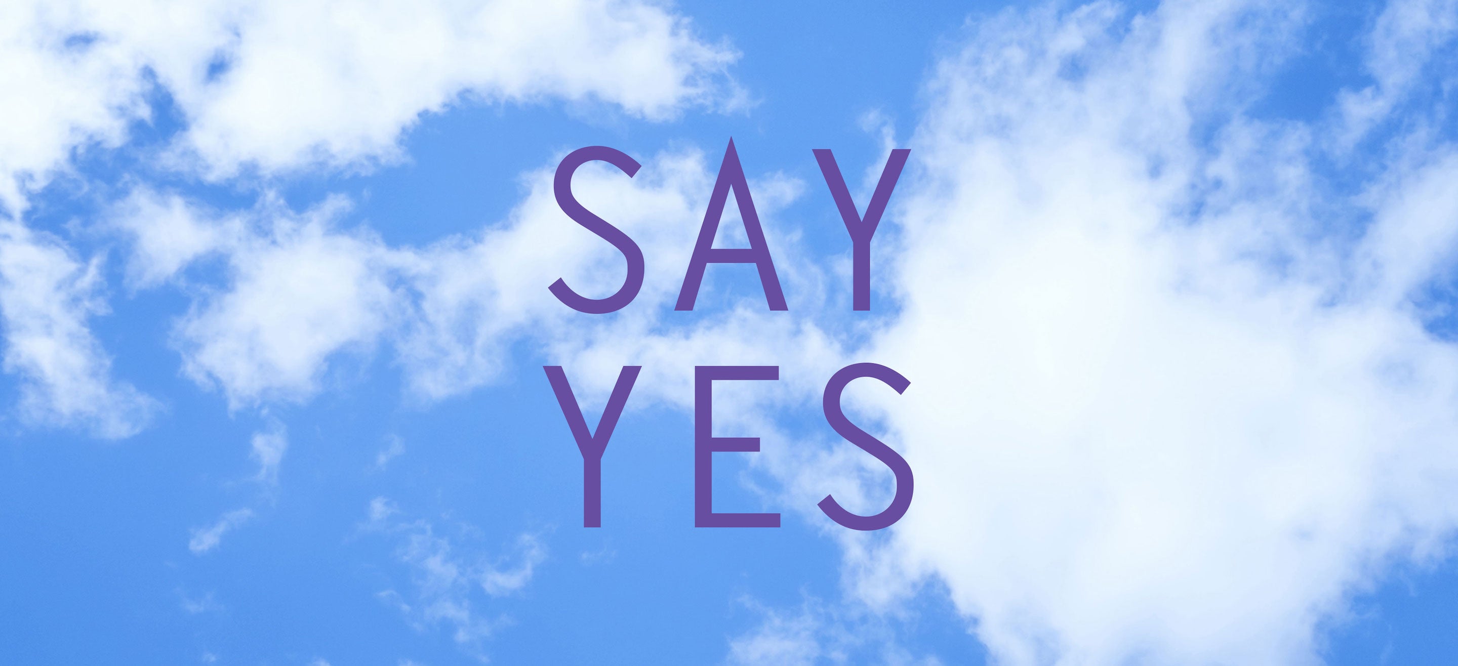 Summer Benefit – LongHouse Reserve